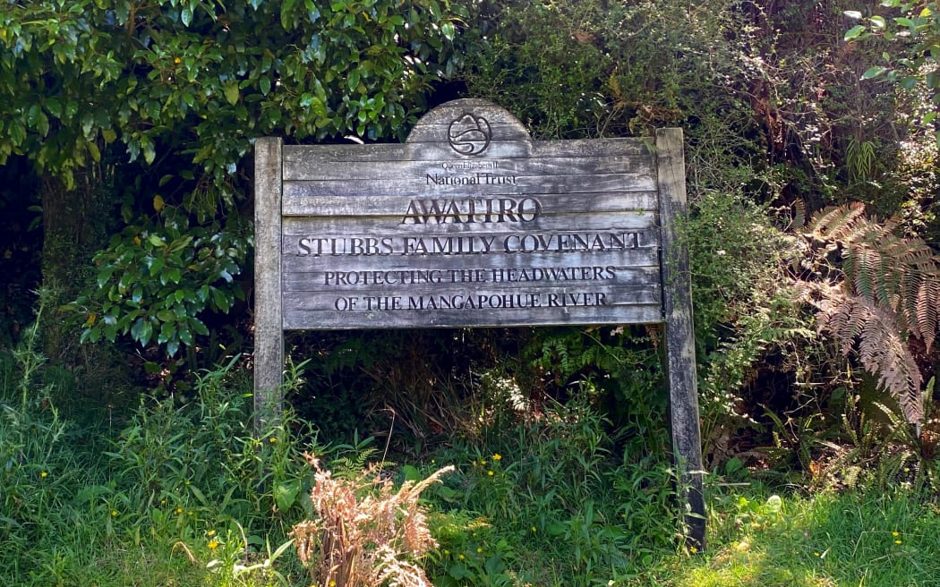 Stubbs Farm protecting the future through windows to the past | RNZ