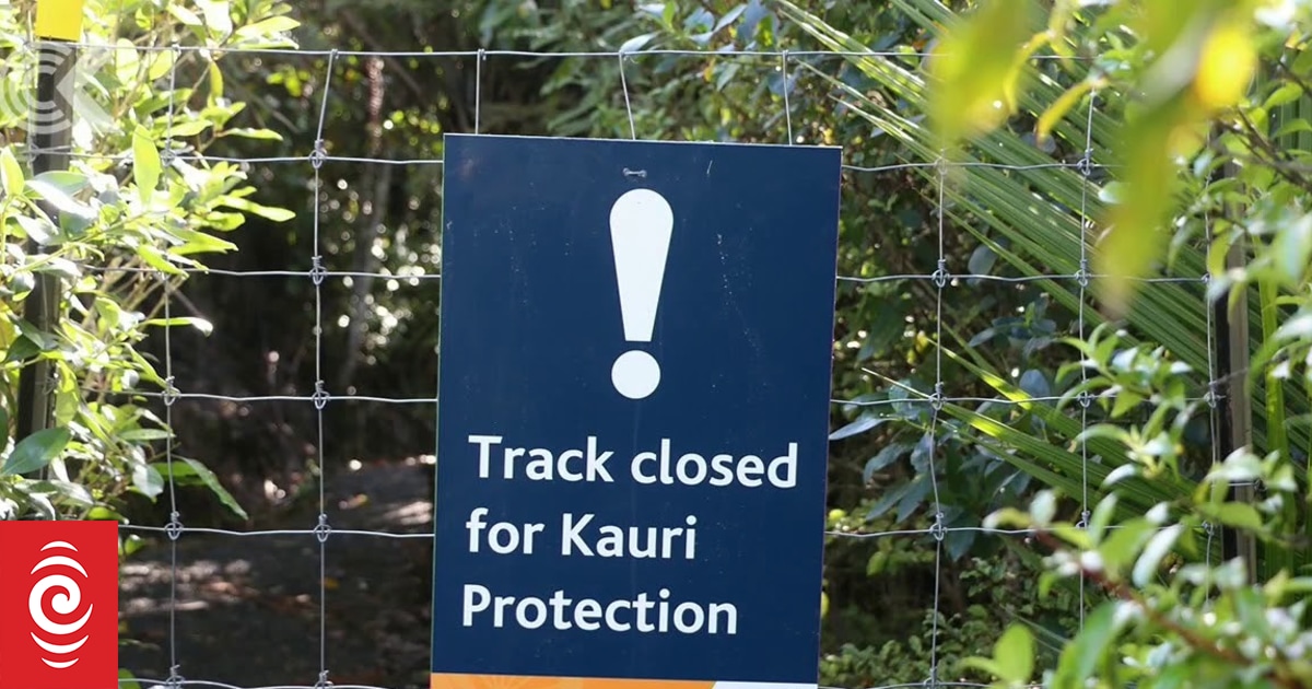 Three Waitakere Ranges tracks set to re-open after four years | RNZ News