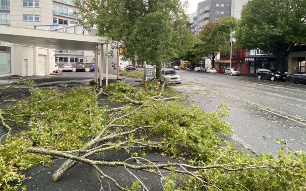 Widespread damage: Cyclone Gabrielle in pictures | RNZ News