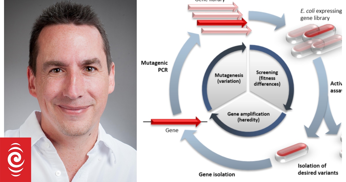 Engineering enzymes & harnessing the power of evolution | RNZ