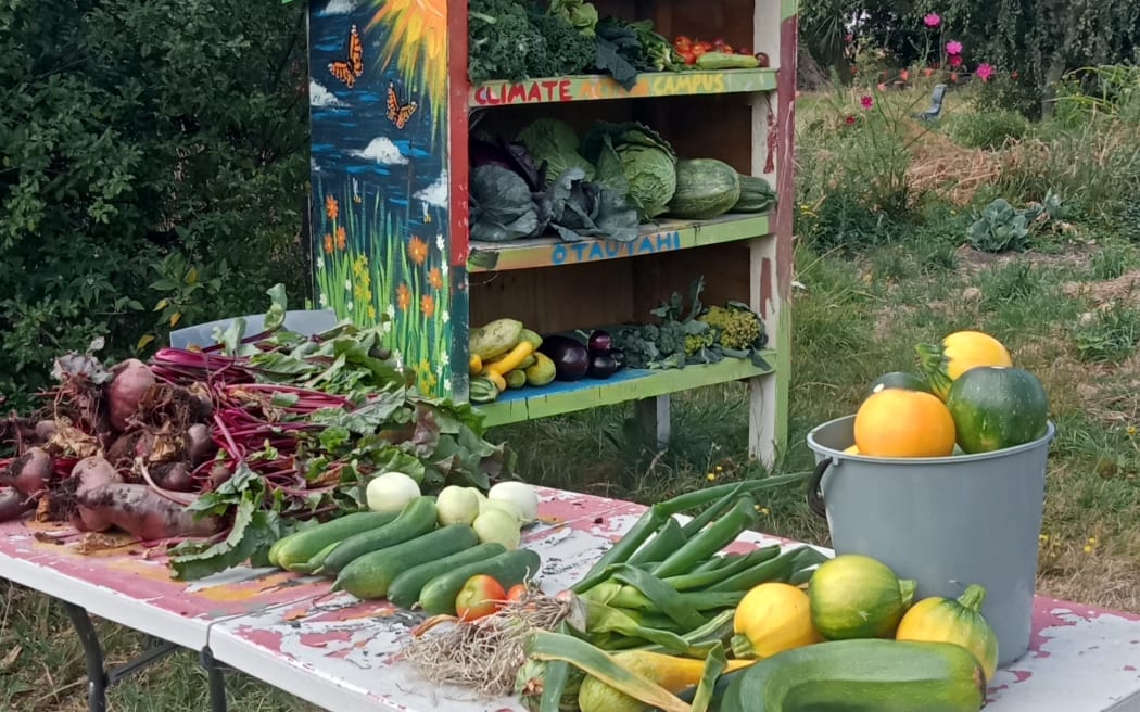 Green learning hub grows on red zone land | RNZ