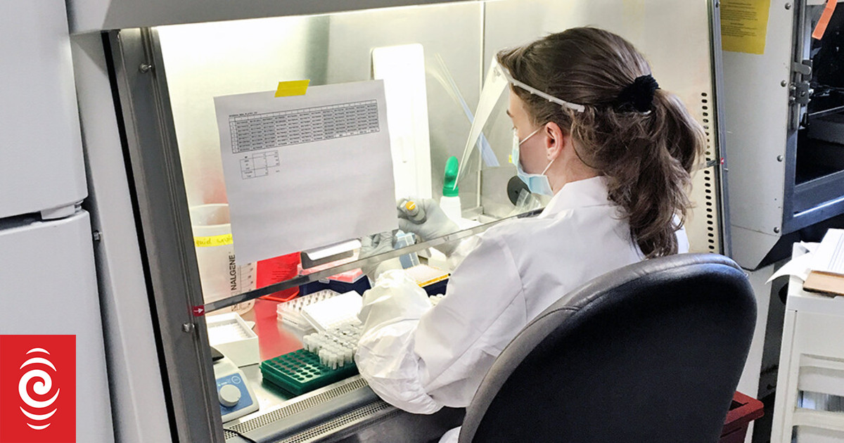 Anne Wyllie: developing a cheap Covid-19 saliva test | RNZ
