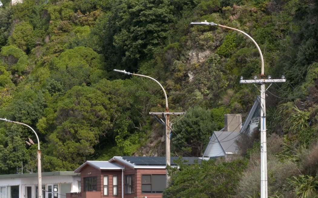 Wellington council working 'really hard' to remove street lamp adaptors ...