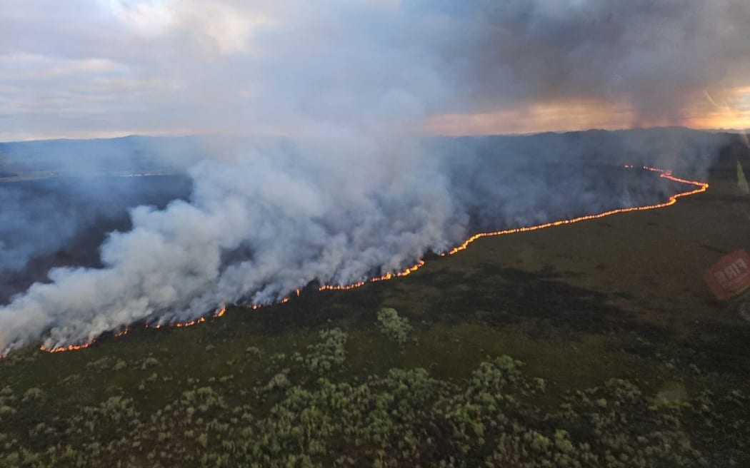 Whangamarino Wetland will take decades to recover from fire - DOC | RNZ ...