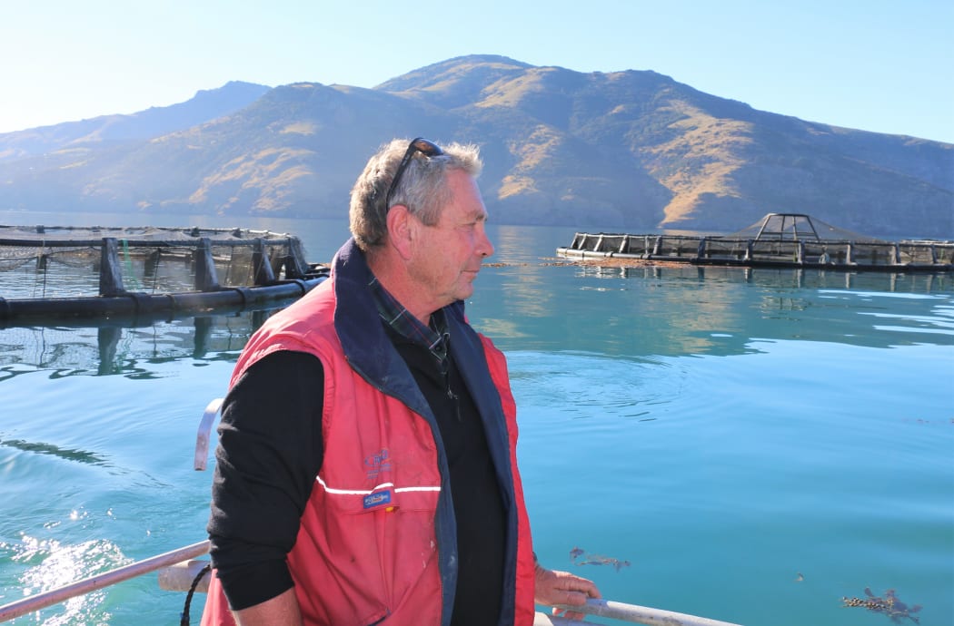 Nights for Friday 13 May 2022 Nights | RNZ