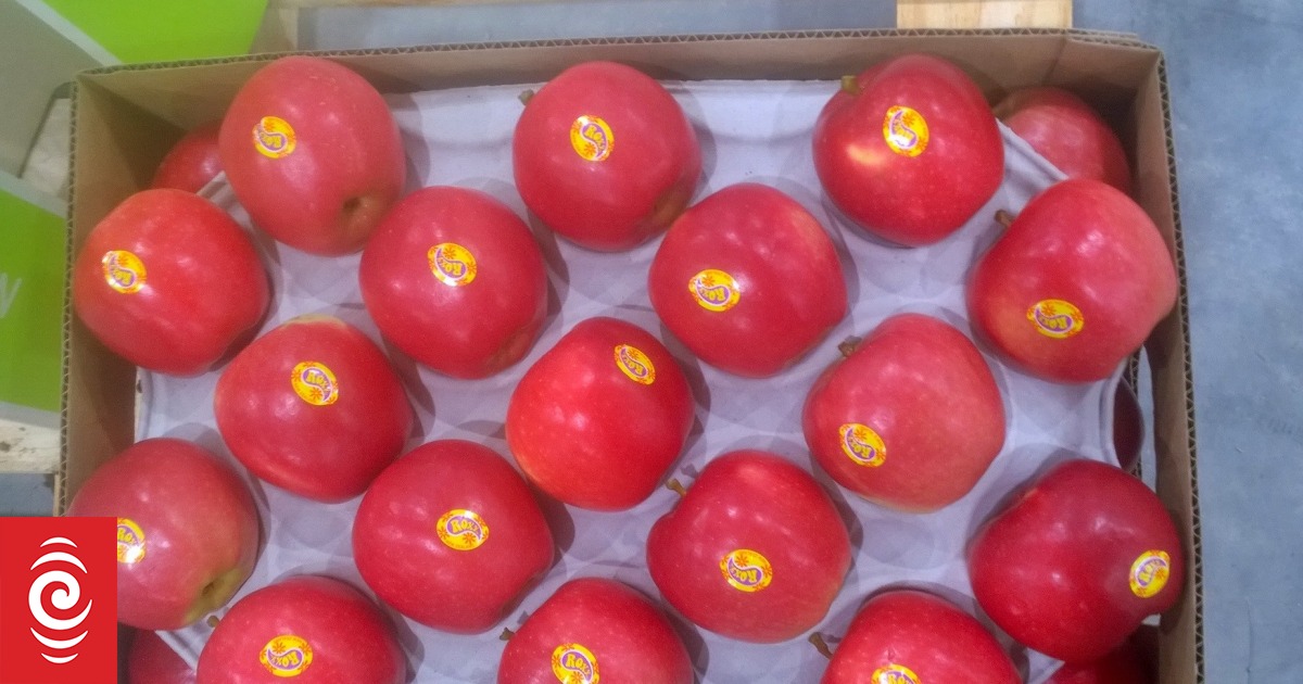 Fruit and Vege Report with Glenn Forsyth | RNZ