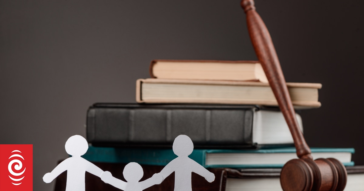 Ministry of Justice unveils options for adoption law reform | RNZ News