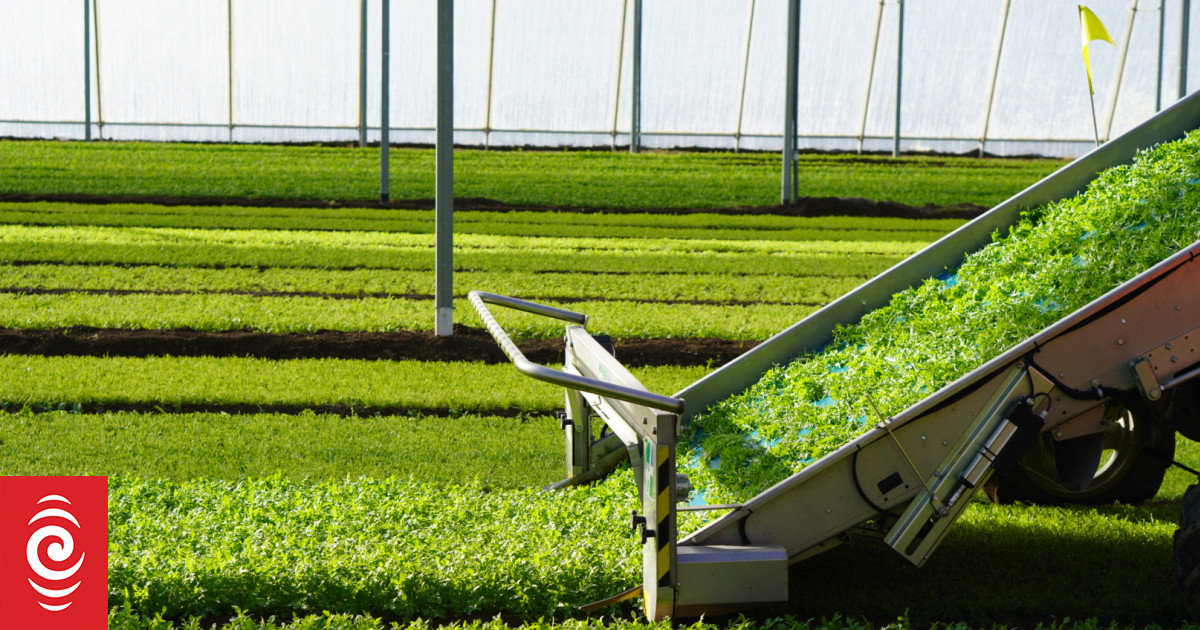 Electric harvesting equipment trialled at Gisborne horticulture ...