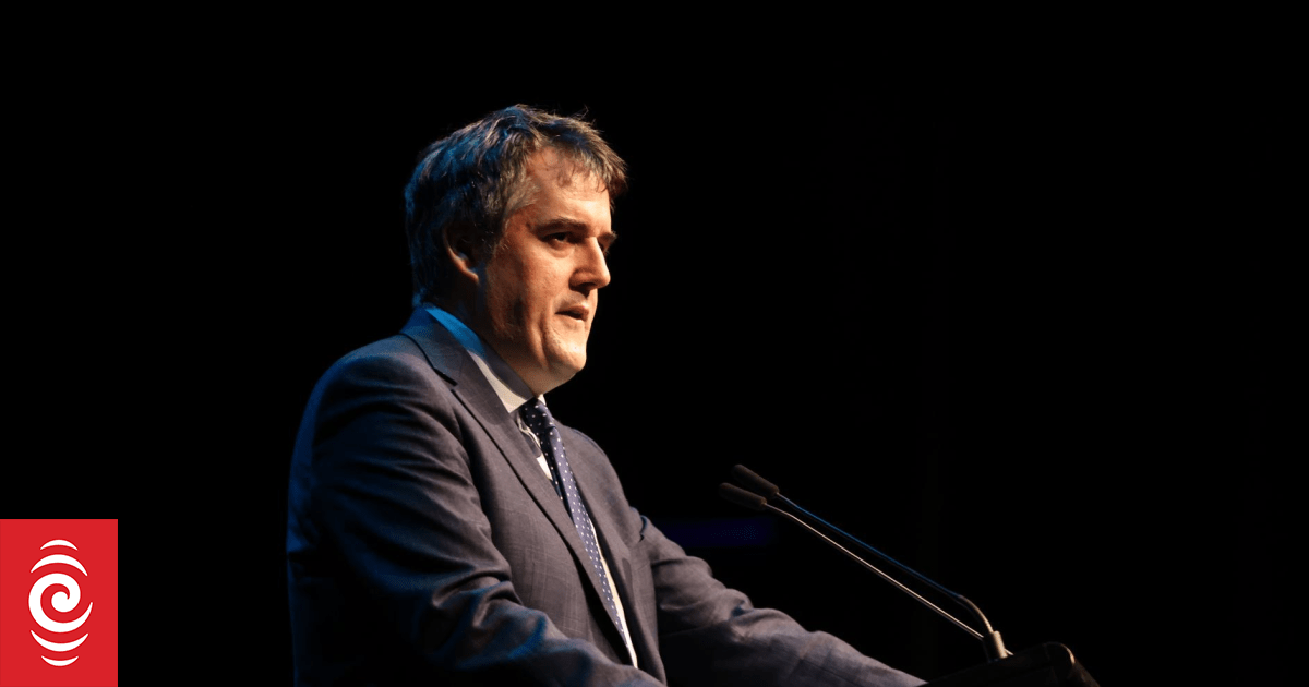 Political commentators Tim Hurdle and Gareth Hughes | RNZ