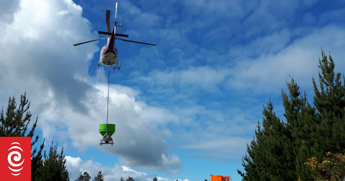 DOC monitors Northland's first major 1080 drop in decades | RNZ News