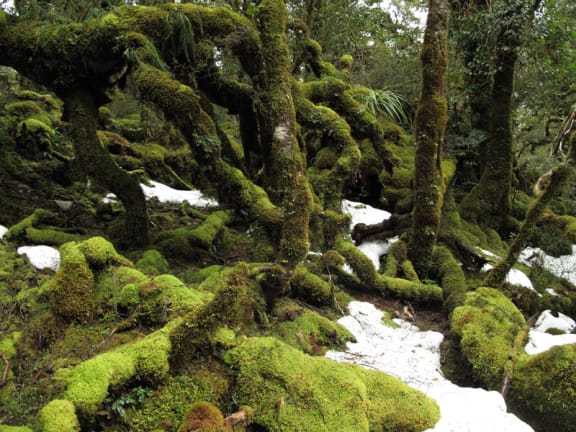 Jackson Bay & Mataketake Range | A Gallery from Nine To Noon | RNZ National