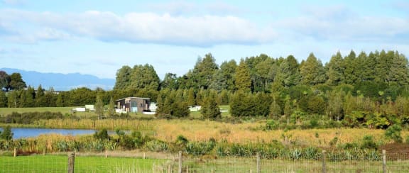 Lake Rotopiko Wetland Reserve | A Gallery from Afternoons | RNZ National