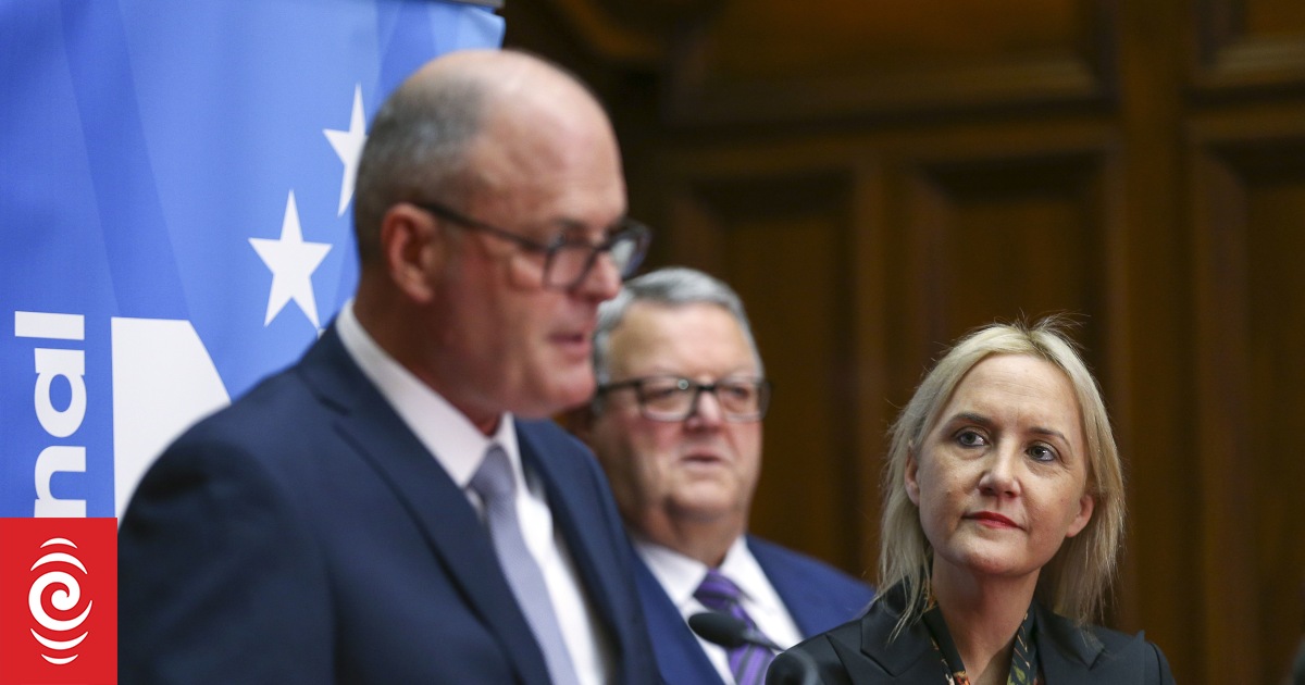 National Party backs away from Strike Force Raptor | RNZ