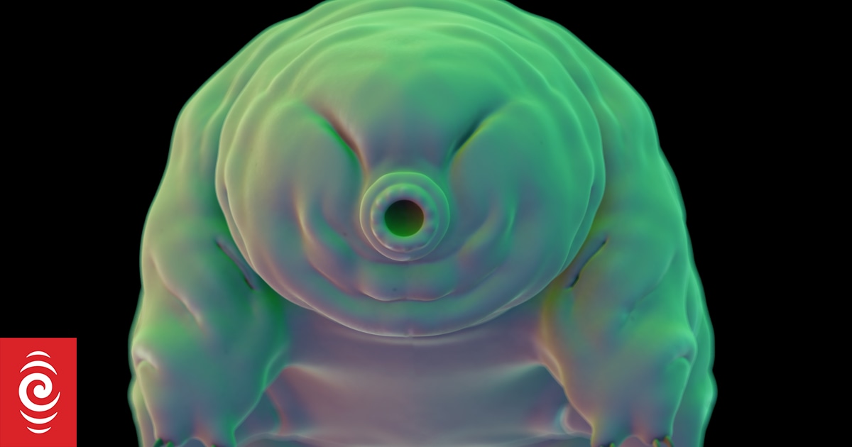New species of microscopic creatures found living in New Zealand's ...