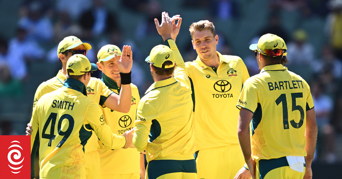 Cricket heavyweights to play in 'marquee' NZ summer | RNZ News