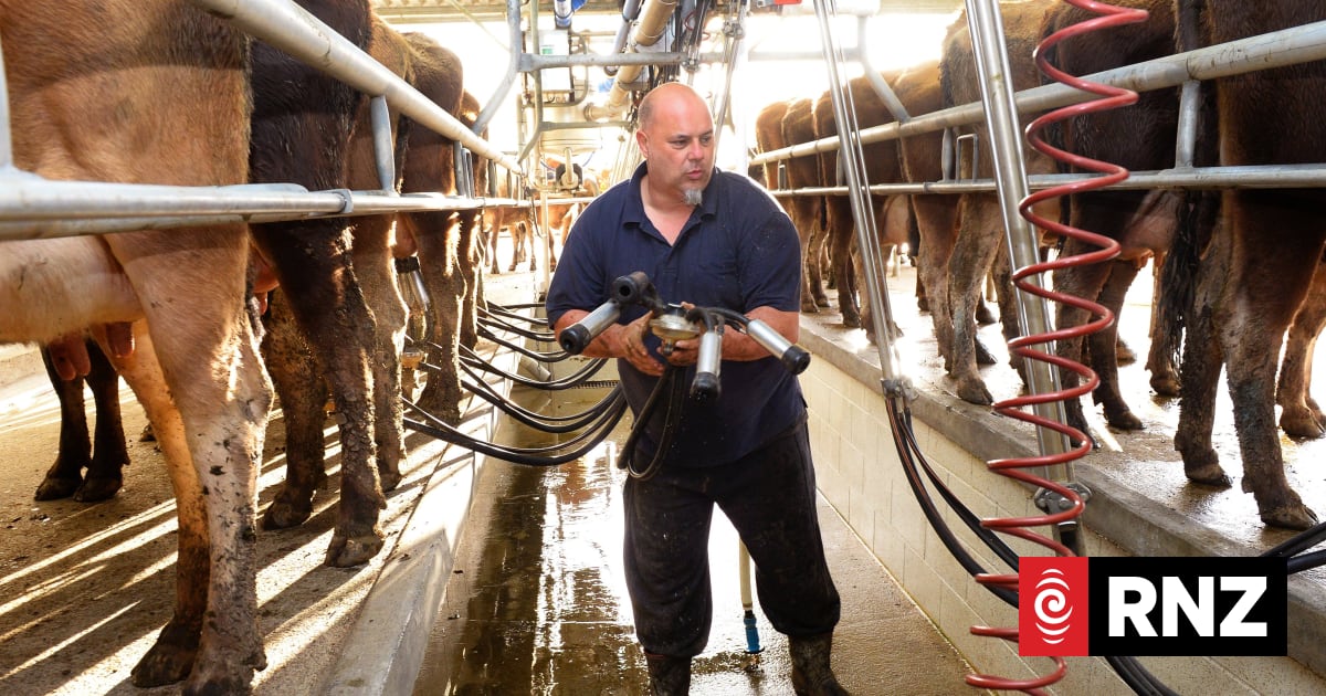 Govt at fault in dairy debt, say Greens | RNZ