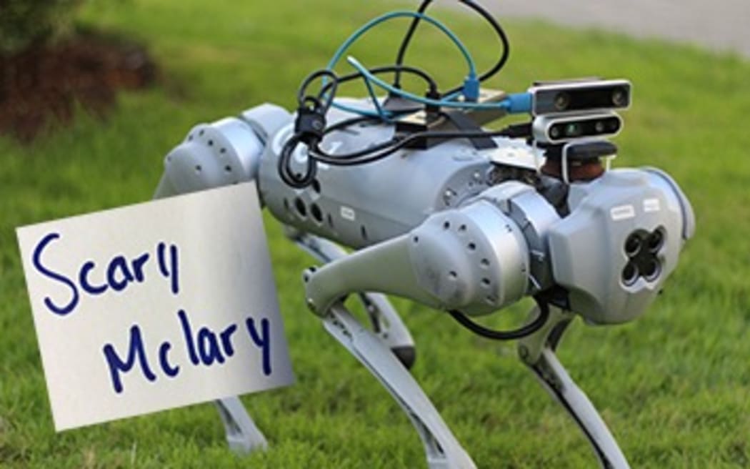 Scary Mclary designed to help in dangerous situations | RNZ