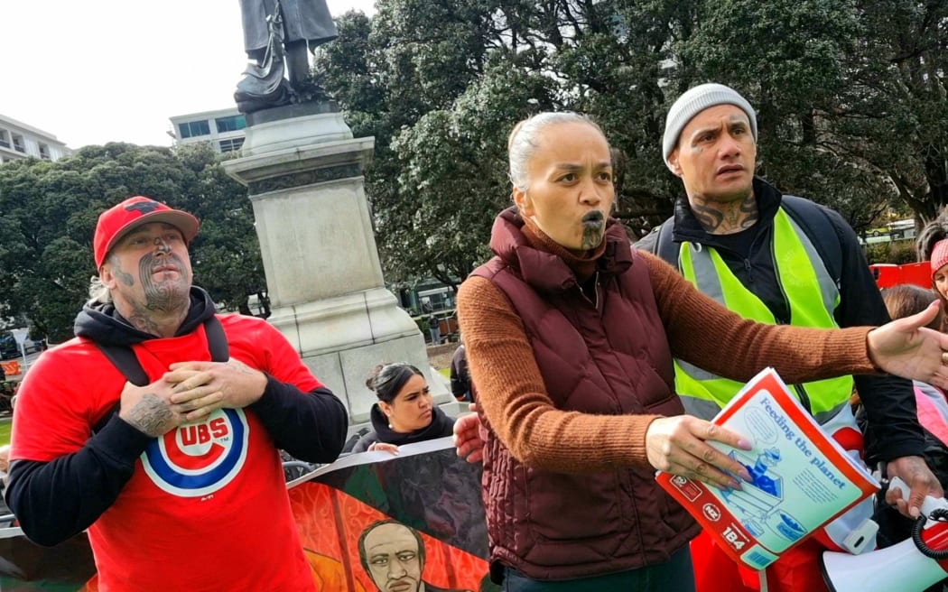 National MP, gang supporters clash in protest on Parliament forecourt ...