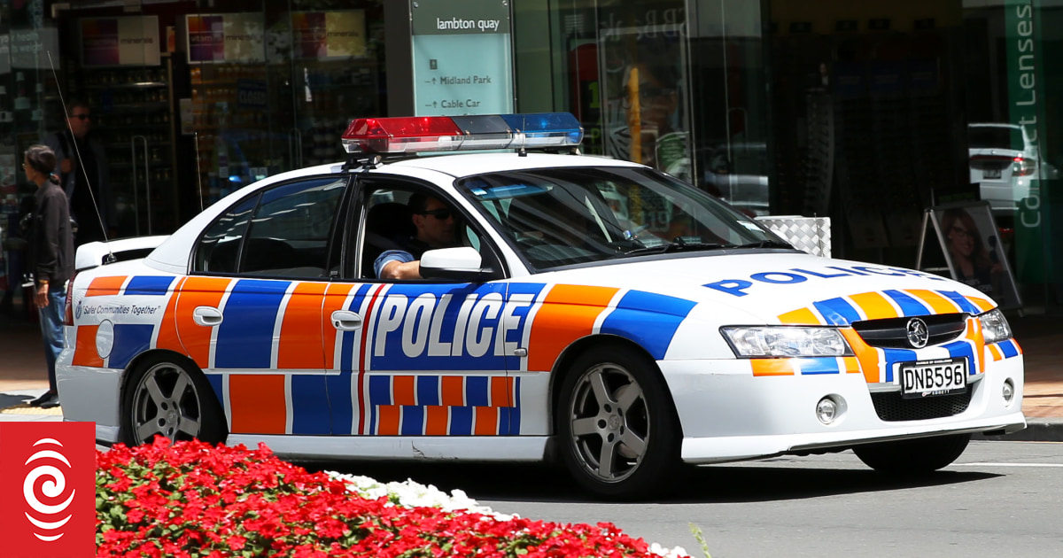 Labour launches petition against vetting fee | RNZ News