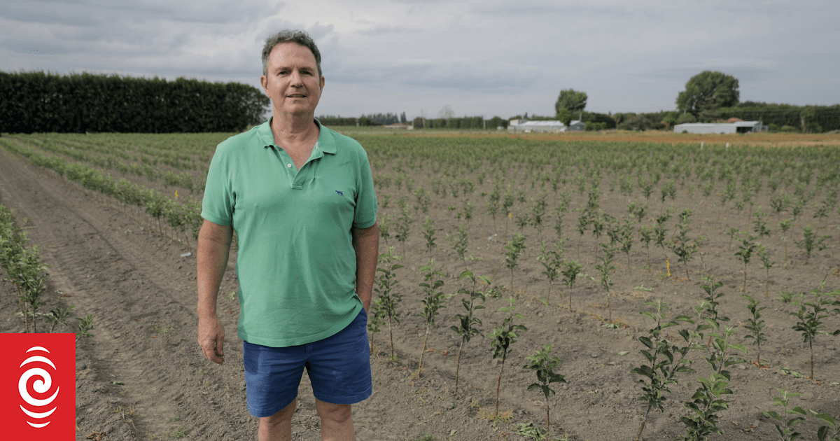 NZ's fruit bowl shrinking as Hawke's Bay orchards continue to feel ...