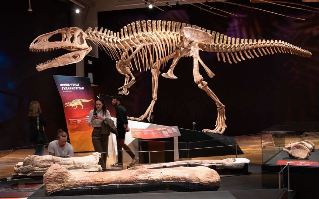 Enormous dinosaur goes on show at Te Papa | RNZ News