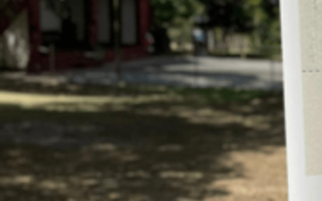 Waitangi 2021: Ripeka Evans | RNZ