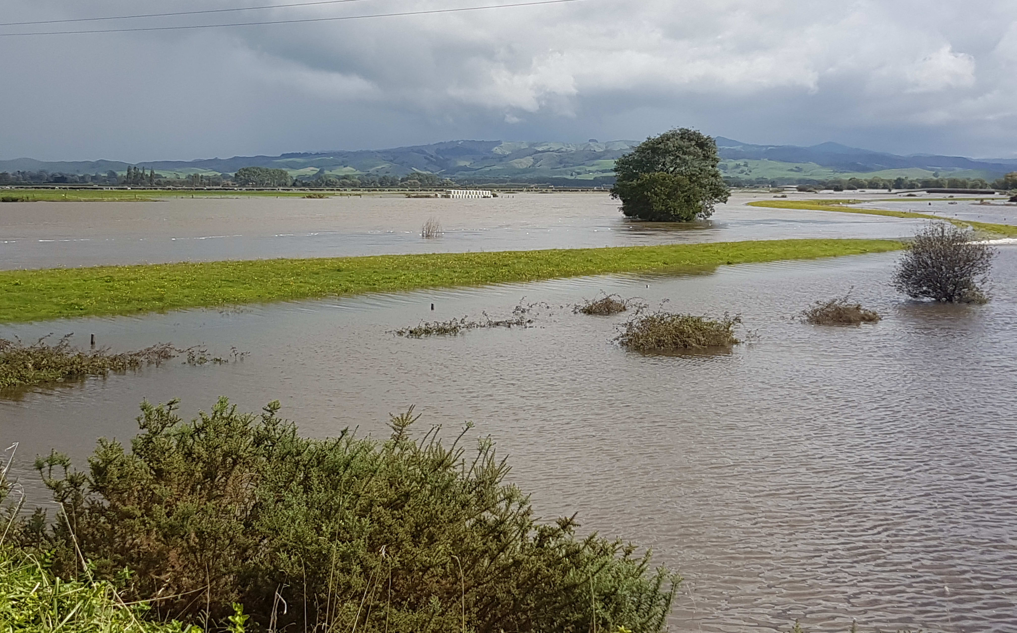 Waikato farmers struggle with flooded Waitoa river | RNZ News