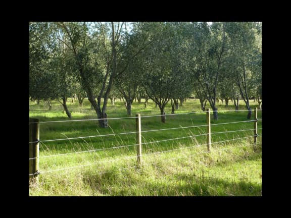 Moon Over Martinborough | A Gallery from Country Life | RNZ National