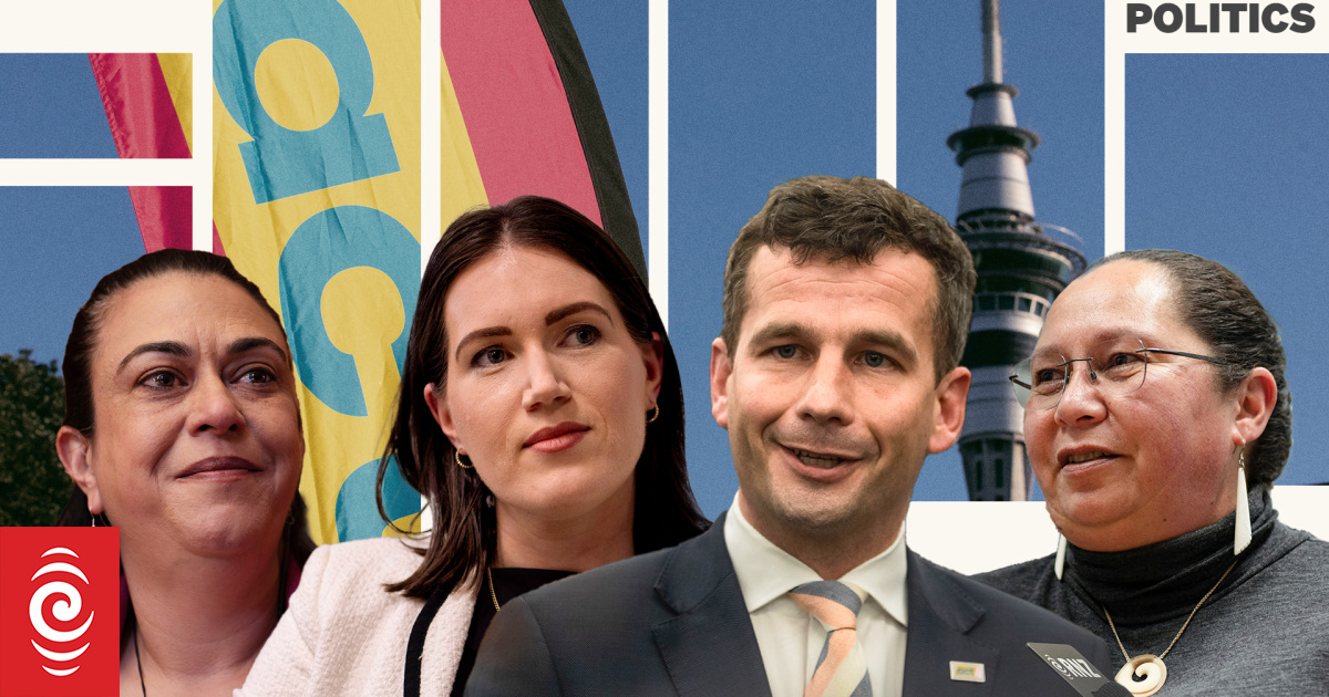 ACT's top six candidates share their history and priorities | RNZ