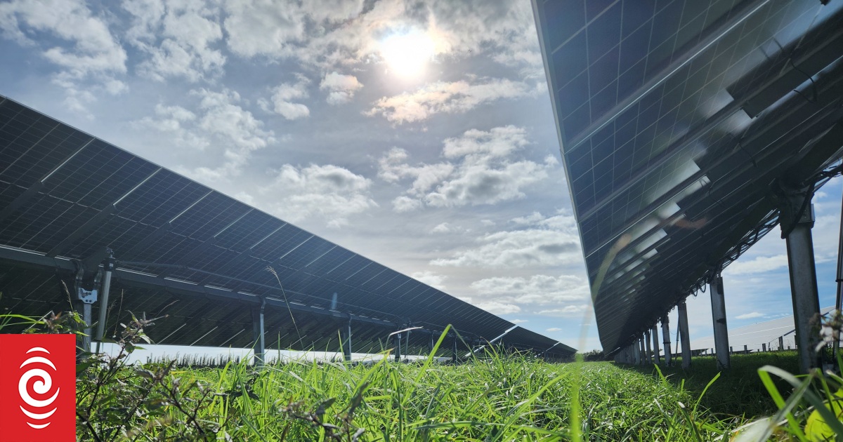 Can New Zealand's solar and wind power boom keep going? | RNZ News