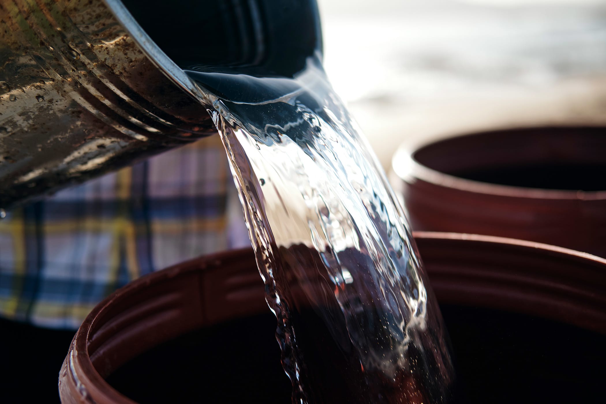 Taipa Salt Pig | A Gallery from Nine To Noon | RNZ National