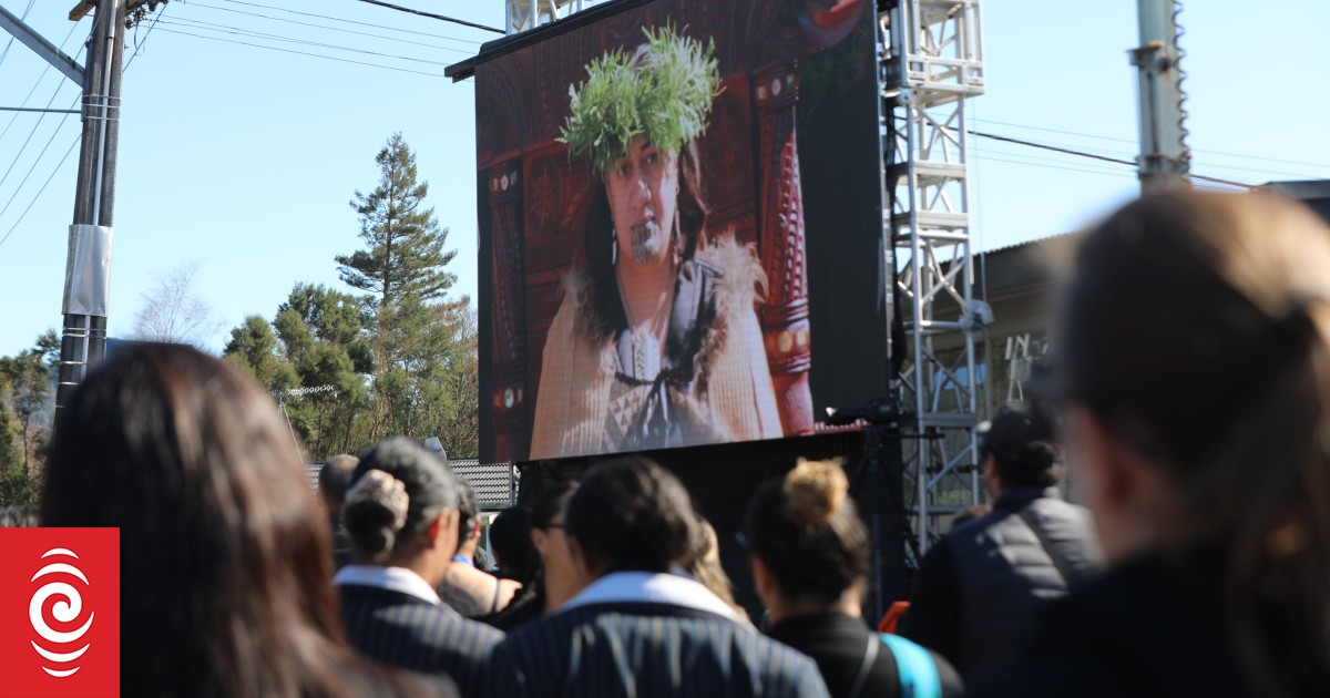 Kuini Nga wai hono i te po needs to carry kotahitanga forward, advisor says | RNZ News