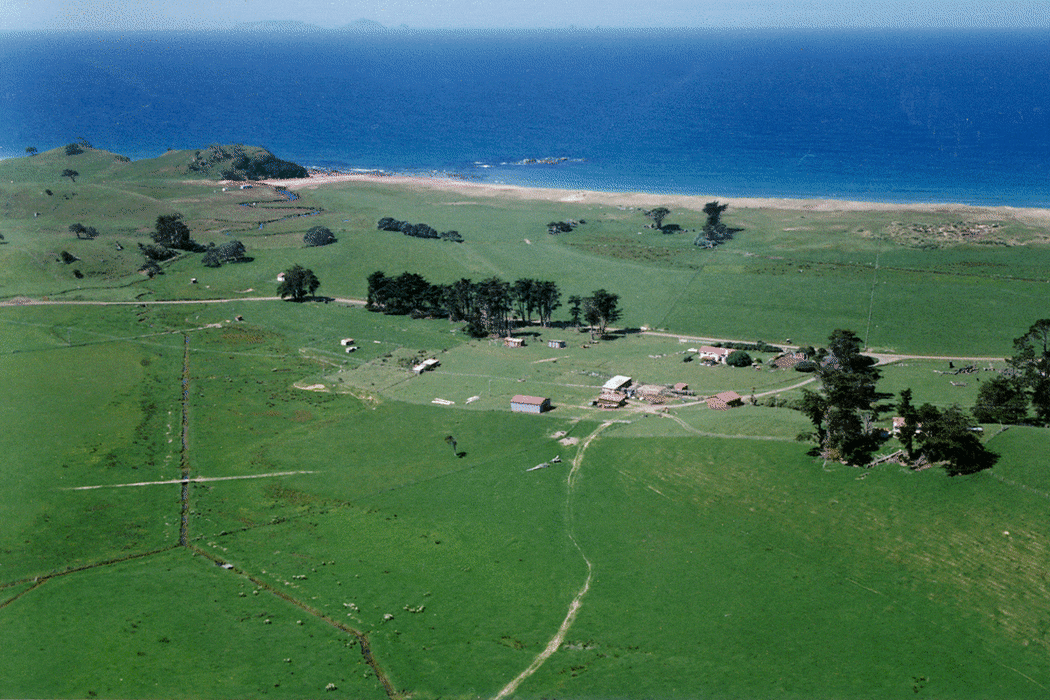 Tahi: giving back to the land | RNZ
