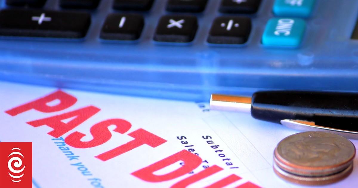 The Panel with Ella Henry and Allan Blackman (Part One) | RNZ