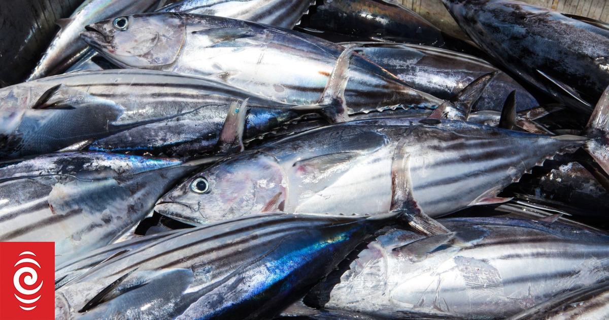 Fewer fish in future warns NZ scientist | RNZ News