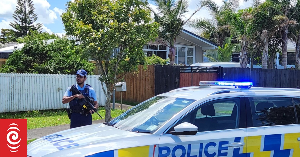 Use of force by police rises for year | RNZ News