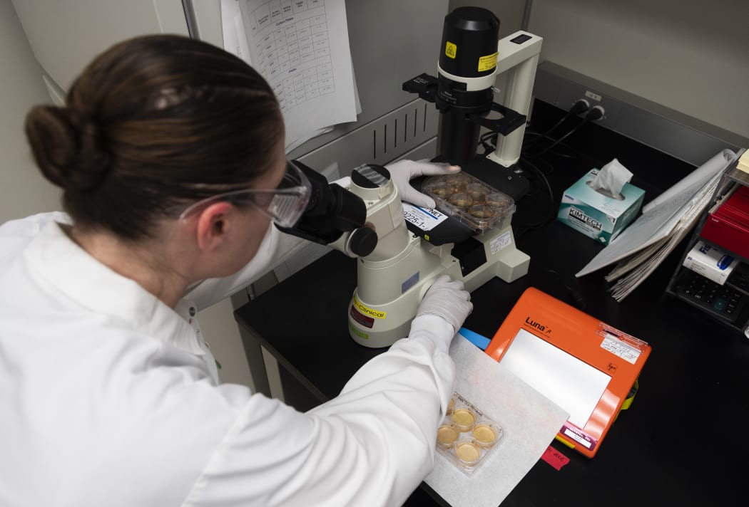Covid-19: Novavax vaccine gains provisional Medsafe approval | RNZ News