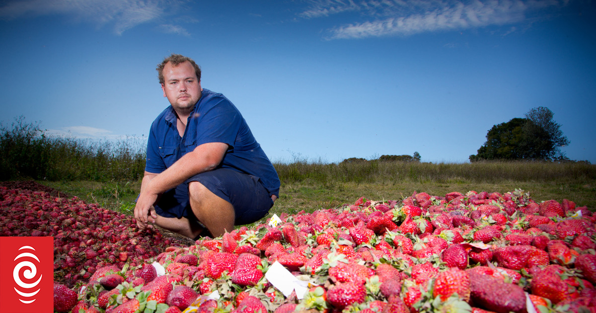 Fruit and Vege Report with Glenn Forsyth | RNZ
