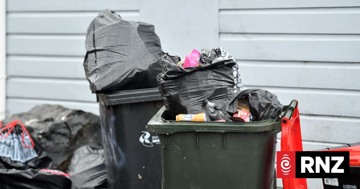 Southland recycling rule breakers could lose bins | RNZ
