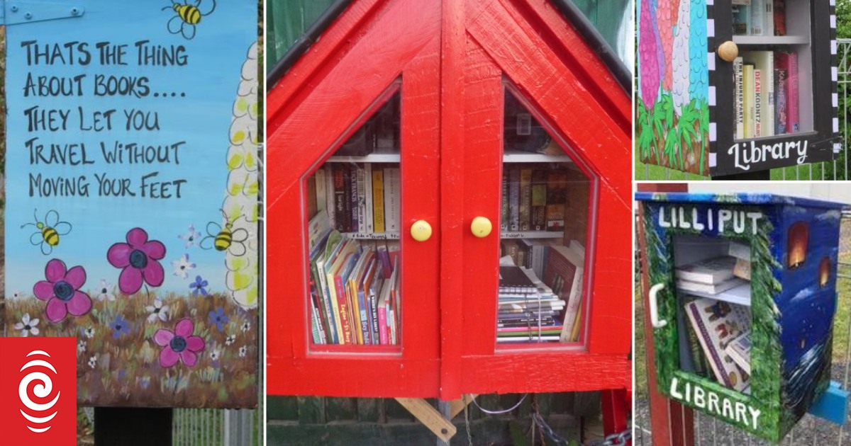 Lilliput Libraries: The little libraries packing a big punch | RNZ