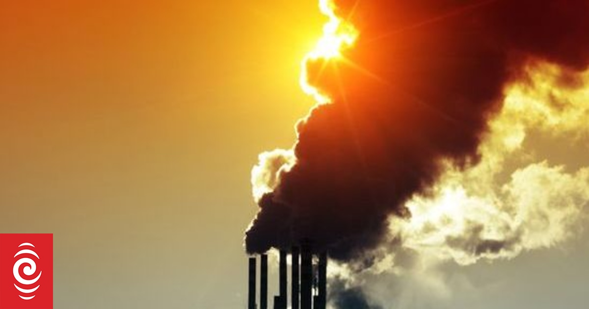 World-first climate action in NZ's top court | RNZ