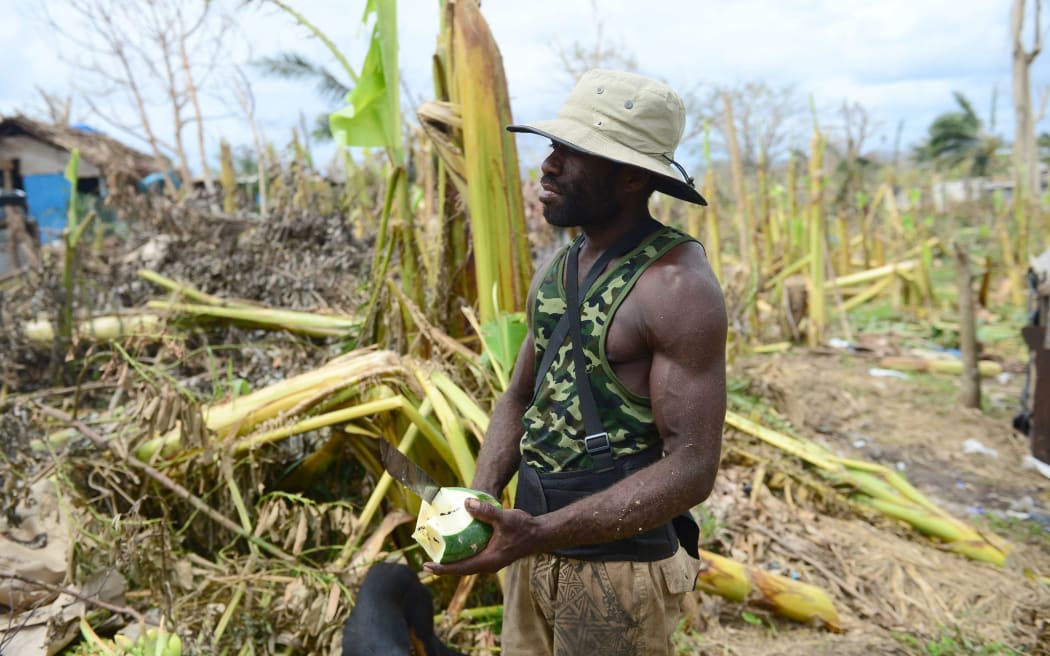 Vanuatu bans GM seeds as crops replanted | RNZ News