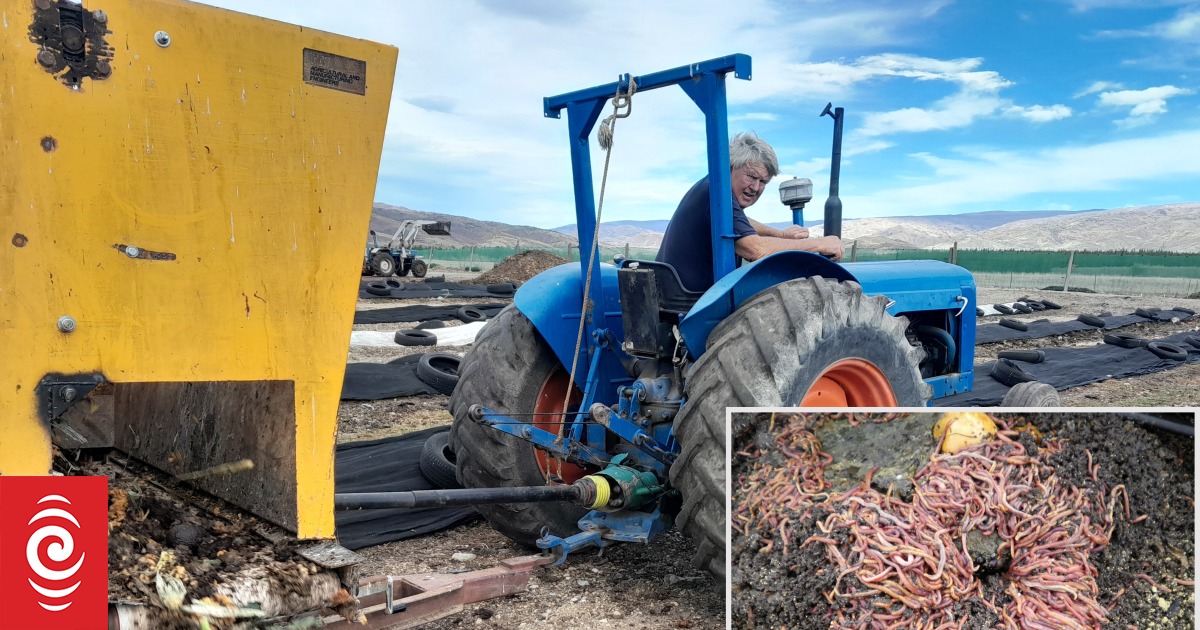 How Cromwell worm farmer Robbie Dick is saving tonnes of organic waste ...