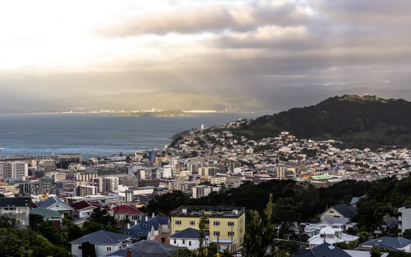 Wellington water reservoir pulled offline after small lizard found | RNZ