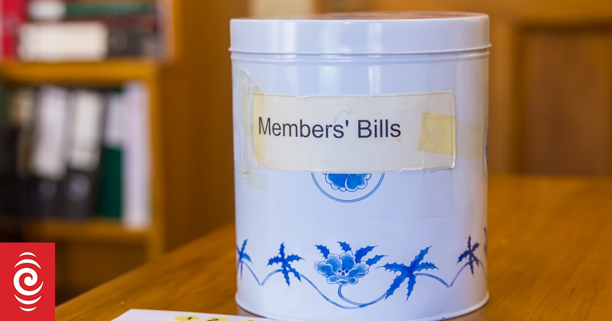 Categories and strategy: The path of Parliament's members' bills | RNZ News