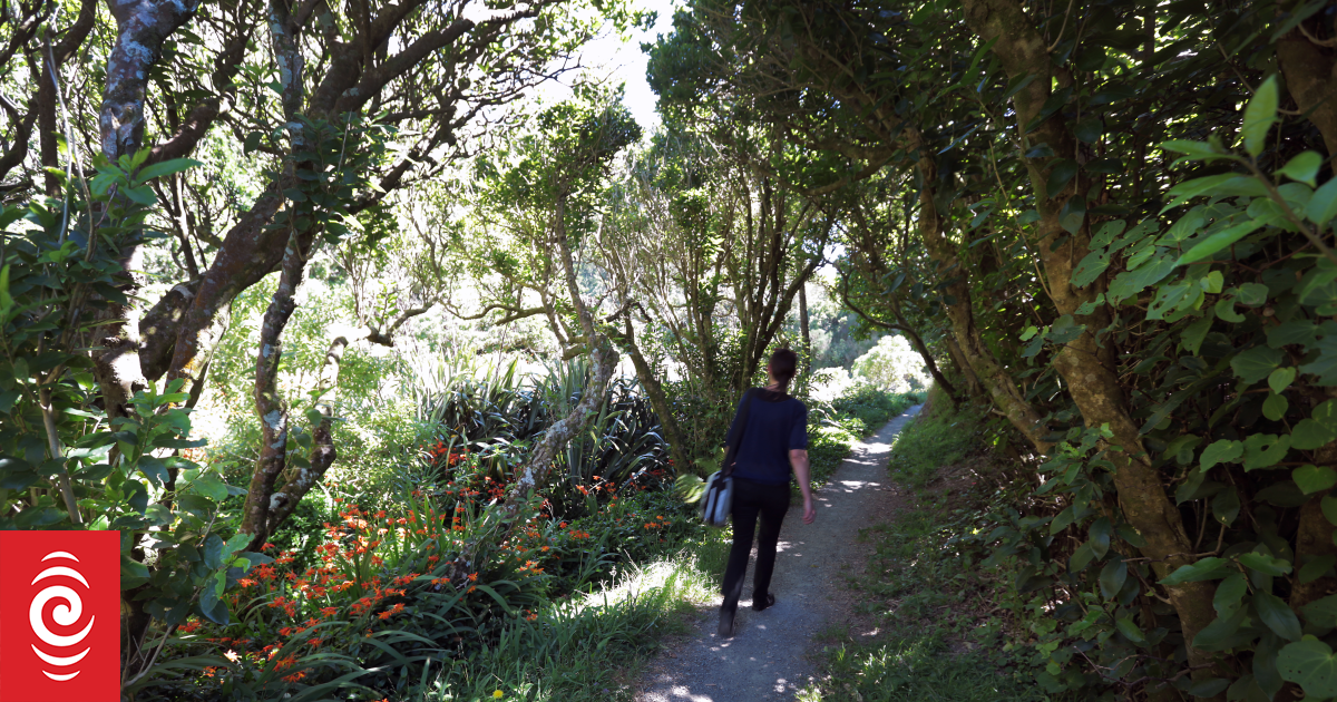 Winstone Aggregates seeks Belmont Regional Park land through Fast-track ...