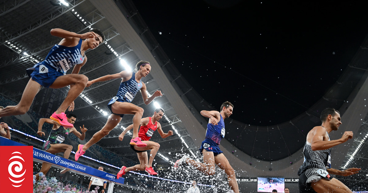 George Beamish is more than a steeplechaser | RNZ News