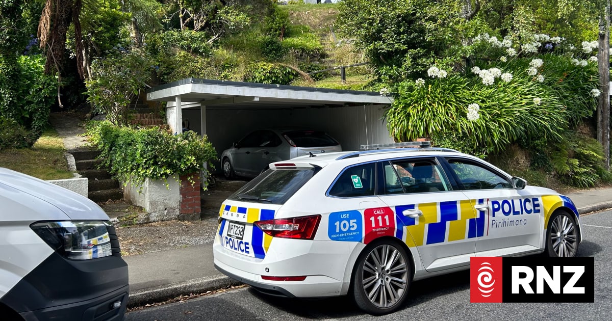 Khandallah murder trial: Blood splatter found around the kitchen sink | RNZ