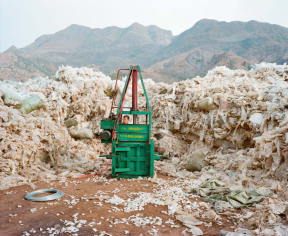 Michael Hall | A Gallery from Standing Room Only | RNZ National