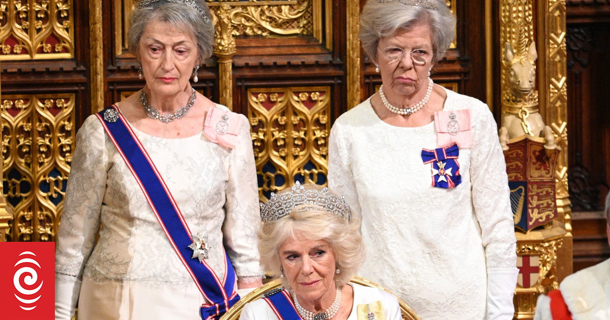 The Pre-Panel with Verity Johnson and Peter Dunne | RNZ